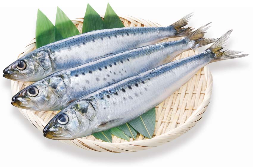 レシピ｜共栄商事