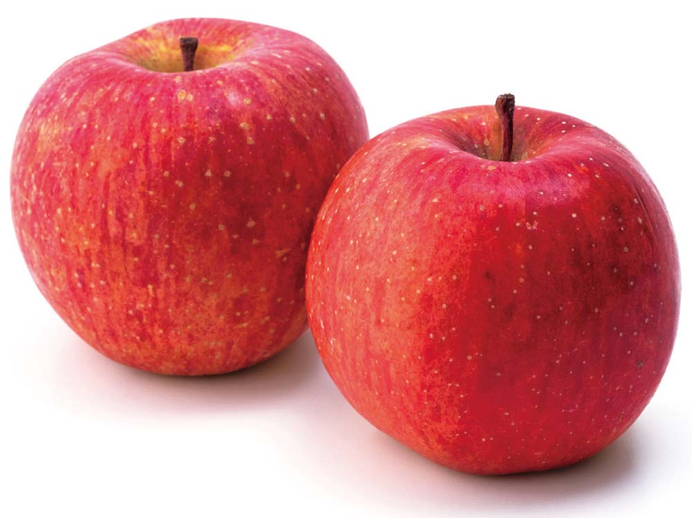 レシピ｜共栄商事